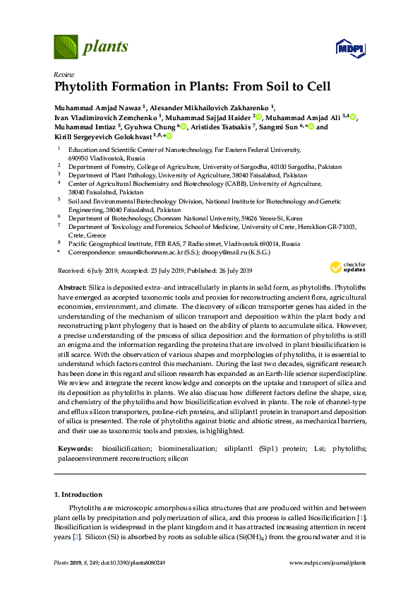 (PDF) Phytolith Formation in Plants: From Soil to Cell