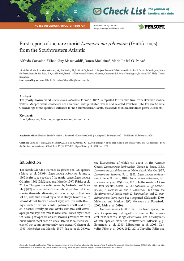 (PDF) First report of the rare morid Laemonema robustum (Gadiformes ...