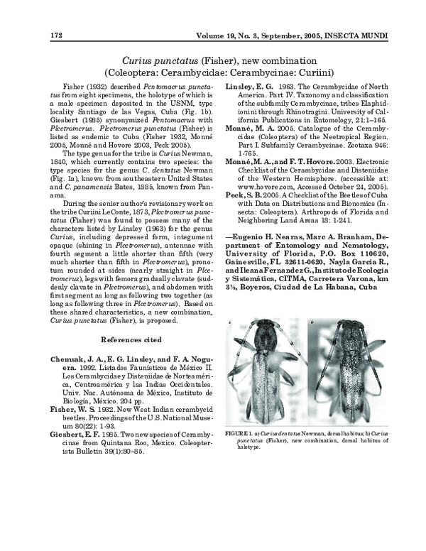 (PDF) Curius punctatus (Fisher), new combination (Coleoptera ...