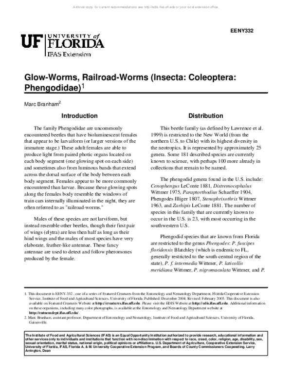 (PDF) Glow-Worms, Railroad-Worms (Insecta: Coleoptera: Phengodidae)