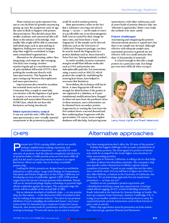 (PDF) Chips: Alternative approaches