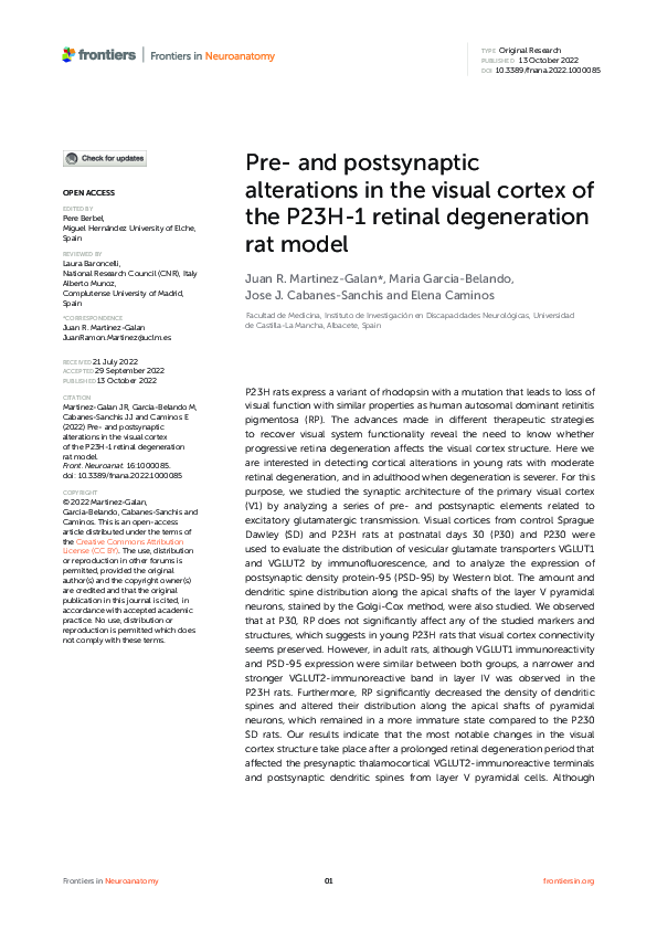 (PDF) Pre- and postsynaptic alterations in the visual cortex of the ...
