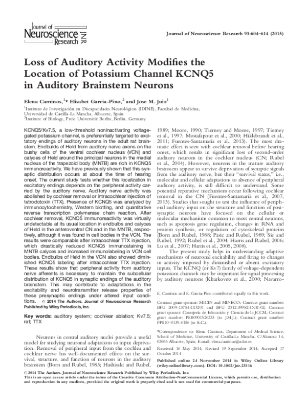 (PDF) Loss of auditory activity modifies the location of potassium ...