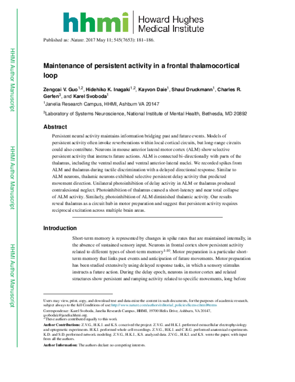 (PDF) Maintenance of persistent activity in a frontal thalamocortical ...