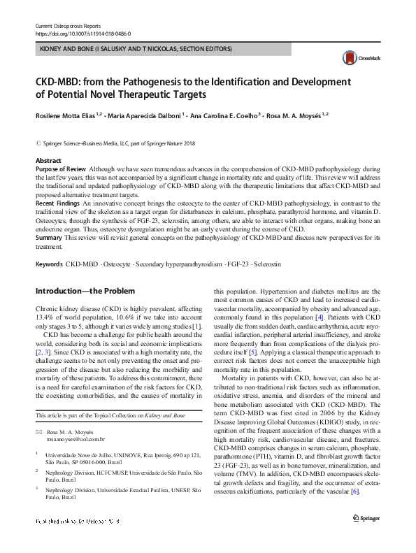 (PDF) CKD-MBD: from the Pathogenesis to the Identification and ...