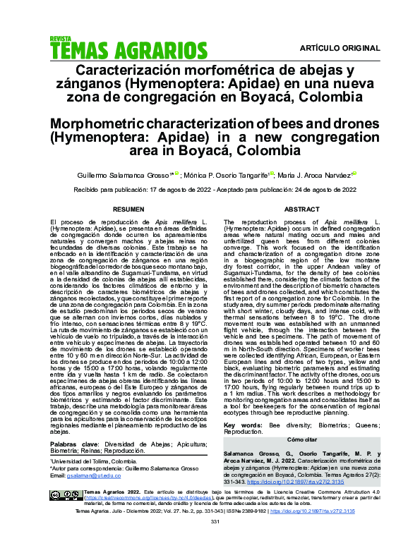 (PDF) Morphometric characterization of bees and drones (Hymenoptera ...