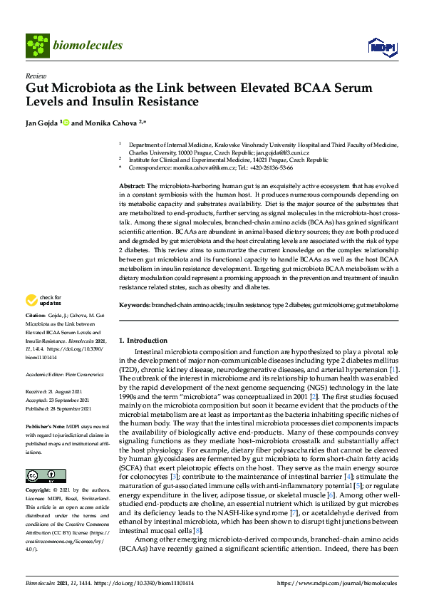 (PDF) Gut Microbiota as the Link between Elevated BCAA Serum Levels and ...