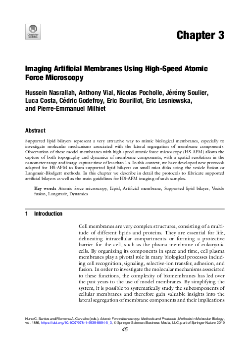 (PDF) Imaging Artificial Membranes Using High-Speed Atomic Force Microscopy