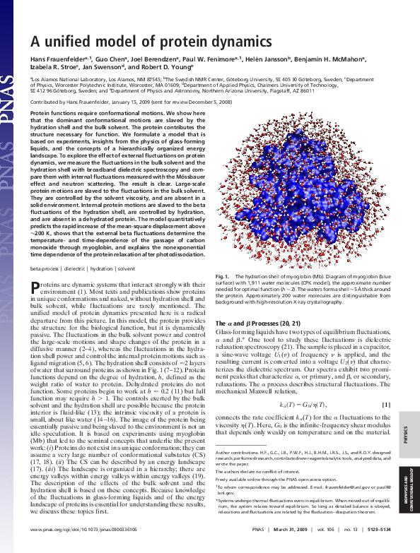 (PDF) A unified model of protein dynamics