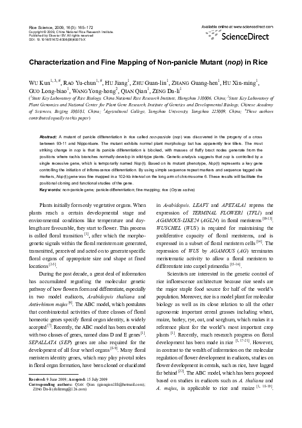 (PDF) Characterization and Fine Mapping of Non-panicle Mutant (nop) in Rice