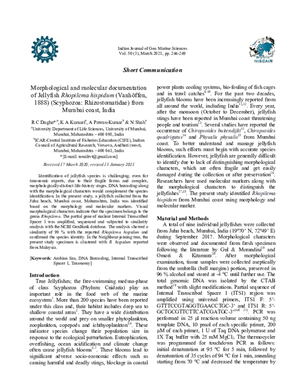 (PDF) Morphological and molecular documentation of Jellyfish Rhopilema ...