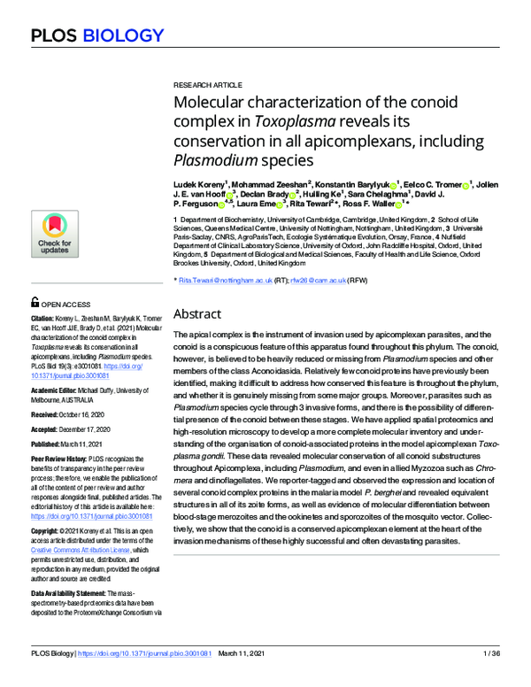 (PDF) Molecular characterization of the conoid complex in Toxoplasma ...