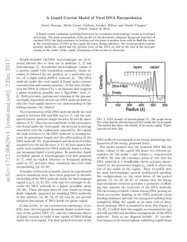 (PDF) A Liquid Crystal Model of Viral DNA Encapsidation