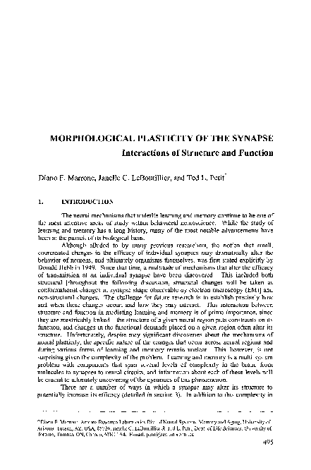 (PDF) Synaptic Plasticity and Transsynaptic Signaling
