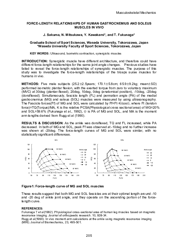 (PDF) Force-Length Relationships of Human Gastrocnemius and Soleus ...
