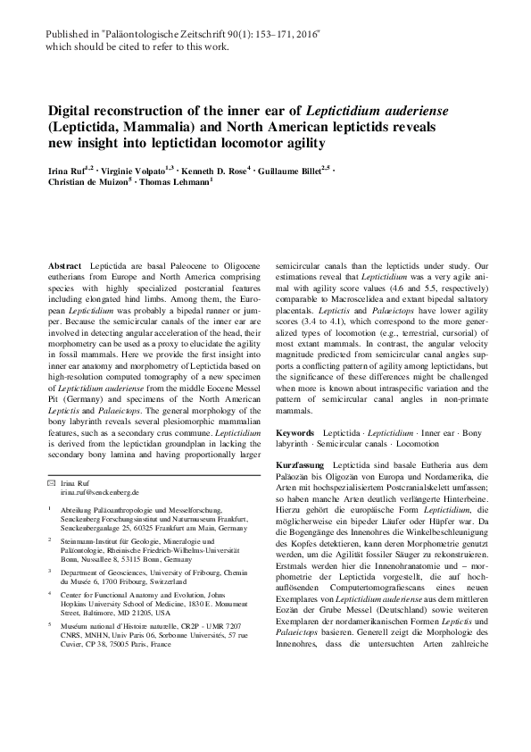 (PDF) Digital reconstruction of the inner ear of Leptictidium ...