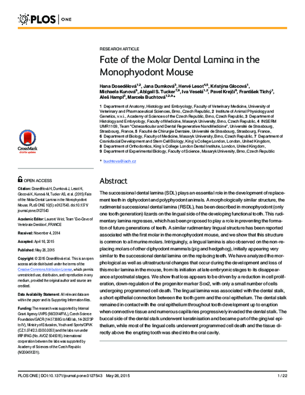 (PDF) Fate of the Molar Dental Lamina in the Monophyodont Mouse
