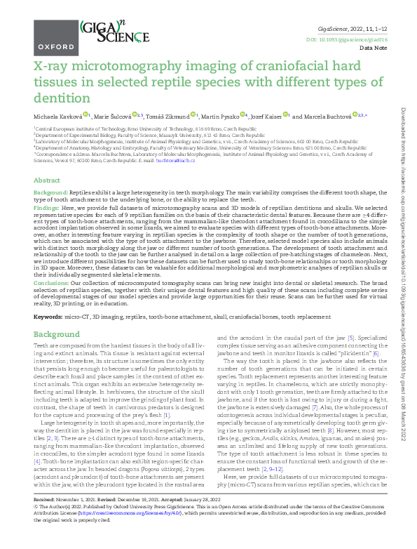 (PDF) X-ray microtomography imaging of craniofacial hard tissues in ...