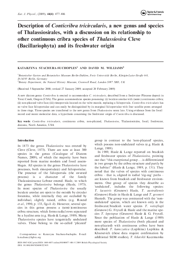 (PDF) Description ofConticribra tricircularis, a new genus and species ...