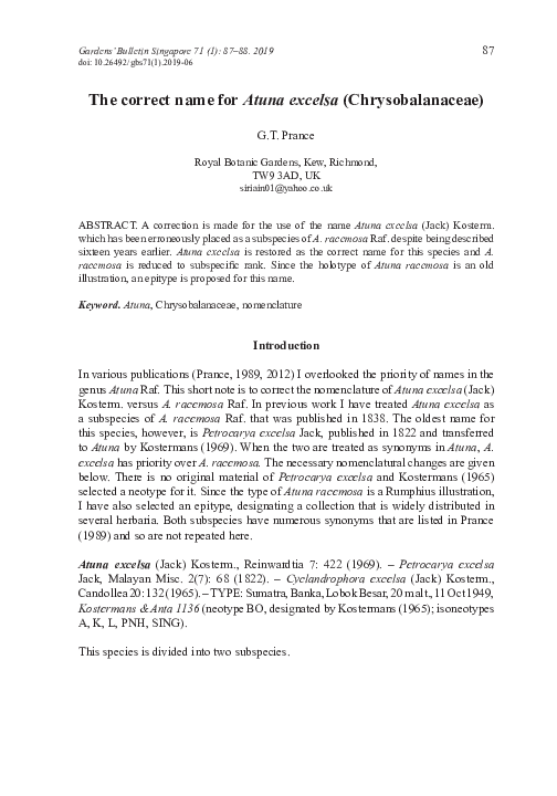(PDF) The correct name for Atuna excelsa (Chrysobalanaceae)