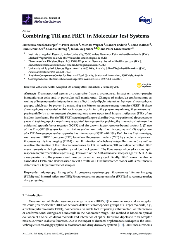 (PDF) Combining TIR and FRET in Molecular Test Systems