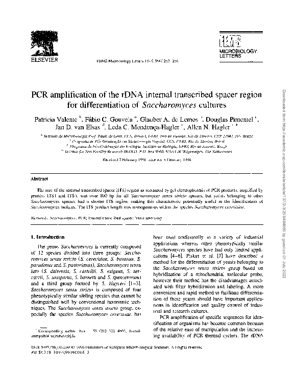 (PDF) PCR amplification of the rDNA internal transcribed spacer region ...
