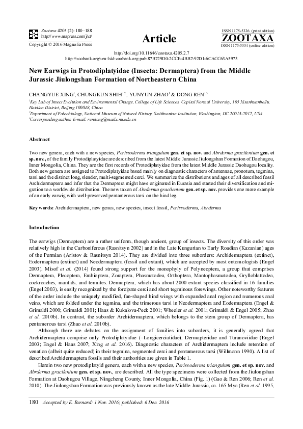 (PDF) New Earwigs in Protodiplatyidae (Insecta: Dermaptera) from the ...