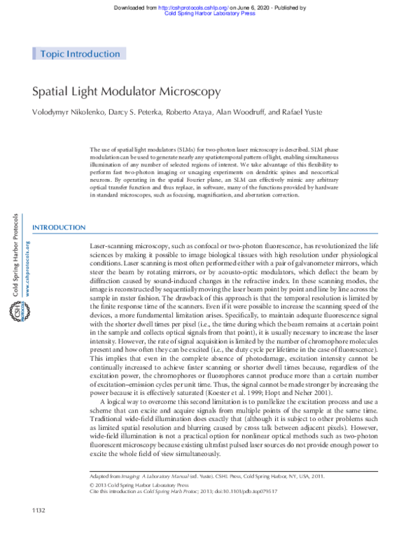 (PDF) Spatial Light Modulator Microscopy