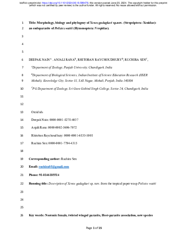 (PDF) Morphology, biology and phylogeny of Xenos gadagkari sp.nov ...
