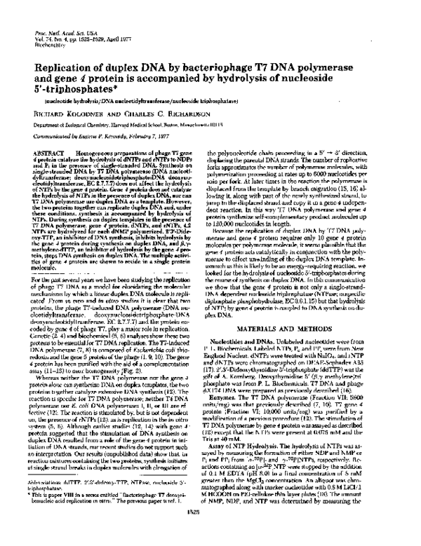 (PDF) Replication of duplex DNA by bacteriophage T7 DNA polymerase and ...