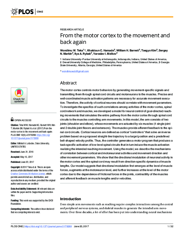 (PDF) From the motor cortex to the movement and back again