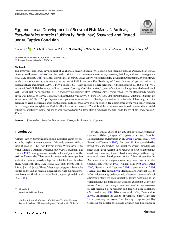 (PDF) Egg and Larval Development of Serranid Fish Marcia’s Anthias ...