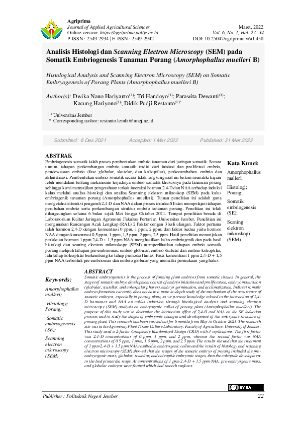 (PDF) Analisis Histologi dan Scaning Elektron Mikroskopy (SEM) pada Somatik Embriogenesis ...