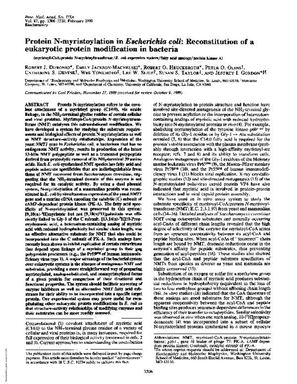 (PDF) Protein N-myristoylation in Escherichia coli: reconstitution of a ...