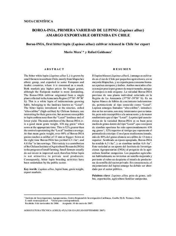 (PDF) BOROA-INIA, PRIMERA VARIEDAD DE LUPINO (Lupinus albus) AMARGO EXPORTABLE OBTENIDA EN CHILE ...