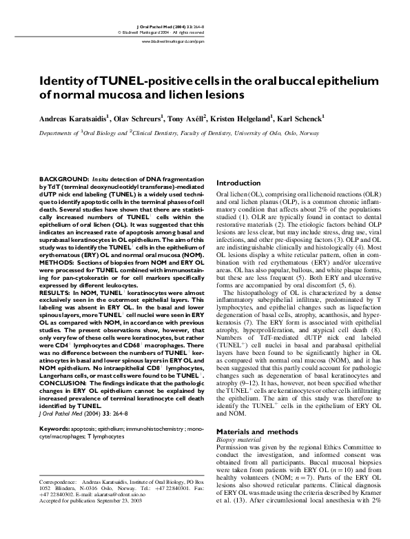 (PDF) Identity of TUNEL-positive cells in the oral buccal epithelium of ...