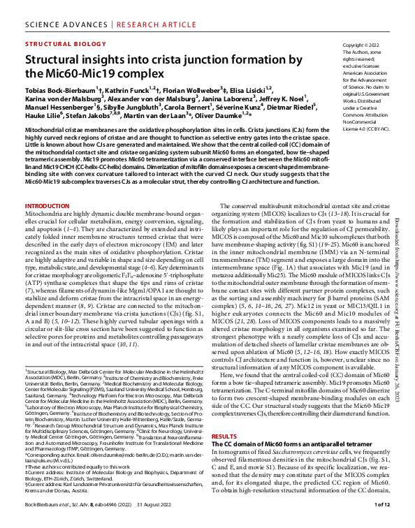 (PDF) Structural insights into crista junction formation by the Mic60 ...