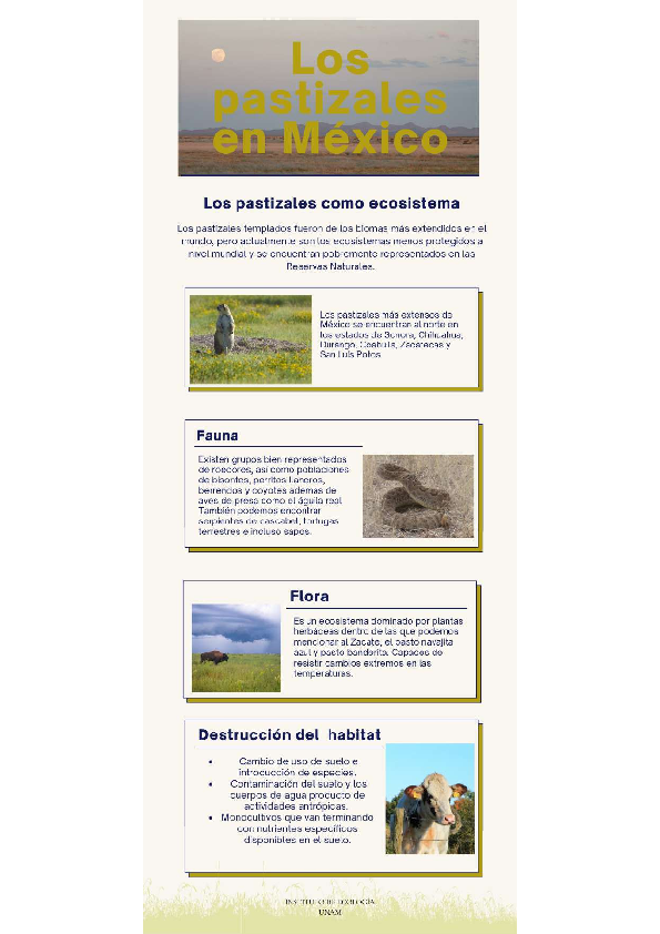 (PDF) Infografias Diversidad de Janos, Chihuahua. Reserva de la Biosfera