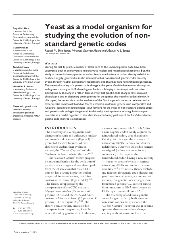 (PDF) Yeast in Evolution of Non-Standard Genetic Codes