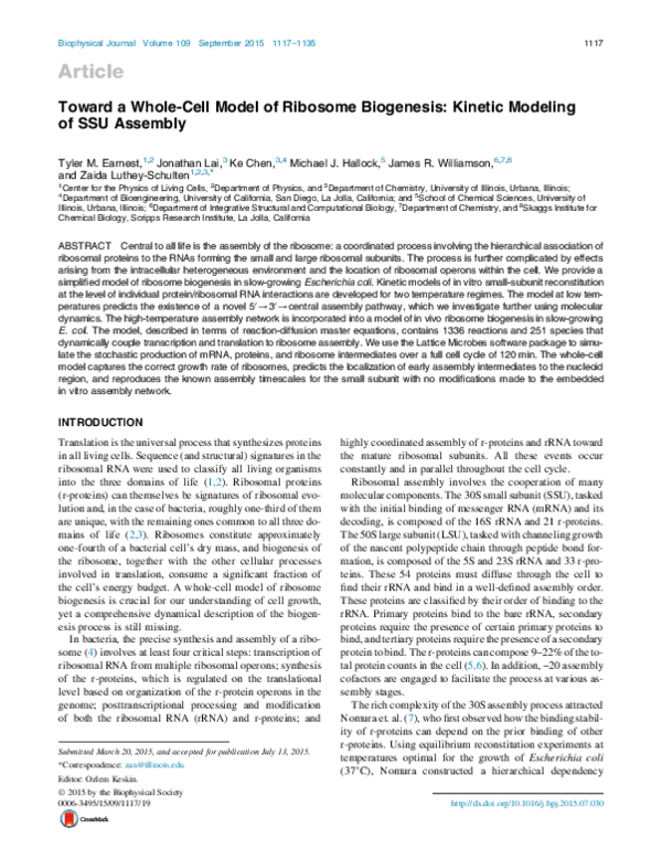 (PDF) Toward a Whole-Cell Model of Ribosome Biogenesis: Kinetic ...