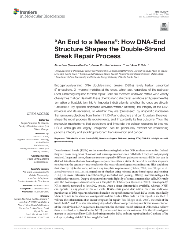 (PDF) “An End to a Means”: How DNA-End Structure Shapes the Double ...