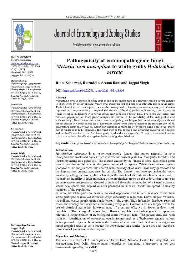 (PDF) Pathogenicity of entomopathogenic fungi Metarhizium anisopliae to white grubs Holotrichia ...