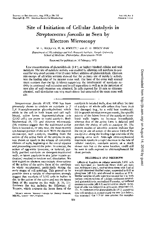 (PDF) Site of Initiation of Cellular Autolysis in Streptococcus ...