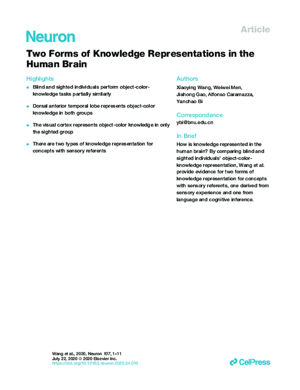 (PDF) Two Forms of Knowledge Representations in the Human Brain