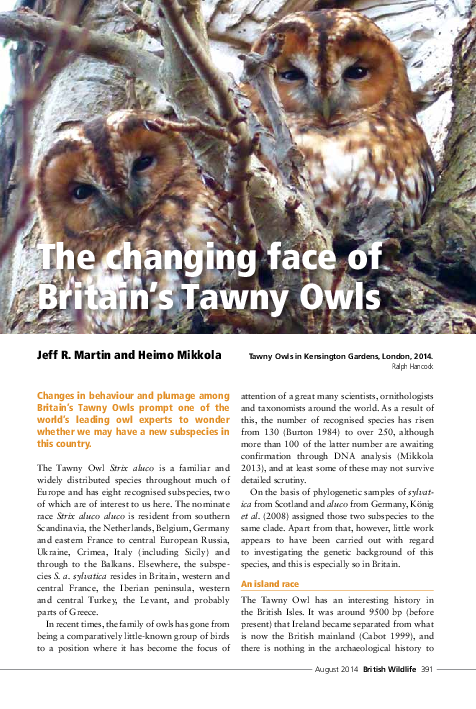 (PDF) The changing face of Britain's Tawny Owls