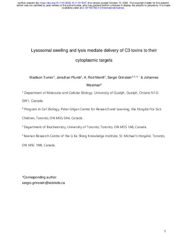 (PDF) Lysosomal swelling and lysis mediate delivery of C3 toxins to ...