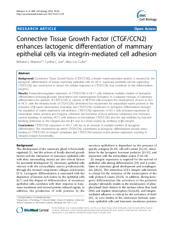 (PDF) Connective Tissue Growth Factor (CTGF/CCN2) enhances lactogenic ...