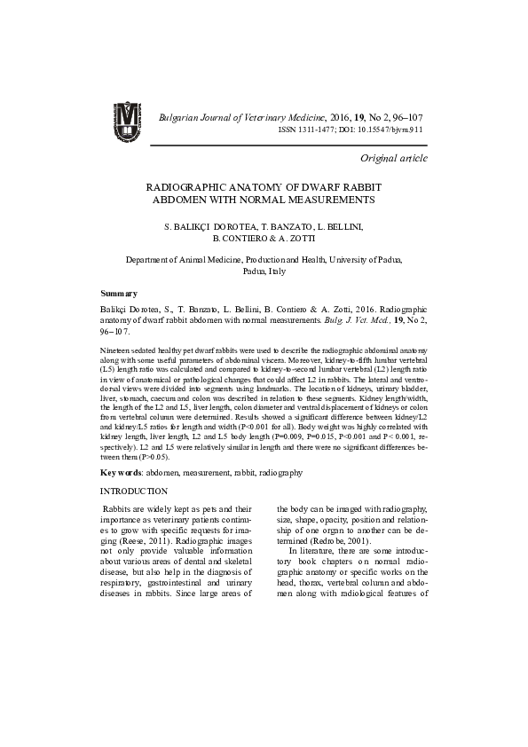 (PDF) Radiographic anatomy of dwarf rabbit abdomen with normal measurements