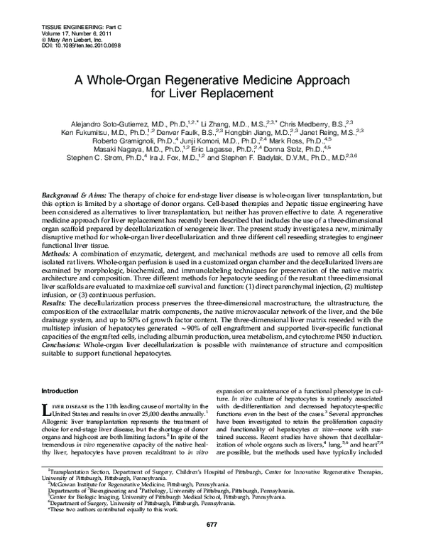 (PDF) Decellularized Liver Matrix for Regenerative Therapy