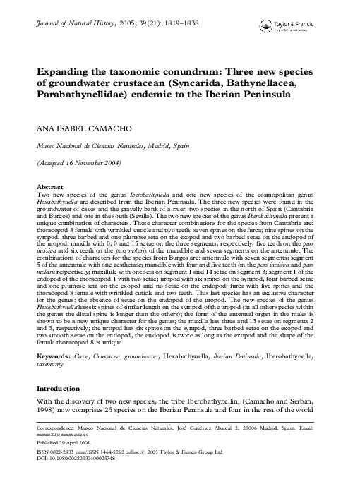 (PDF) Expanding the taxonomic conundrum: Three new species of ...